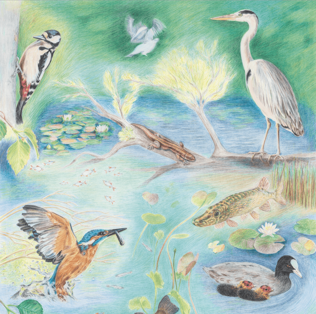 Atelier Natura - Bogforum